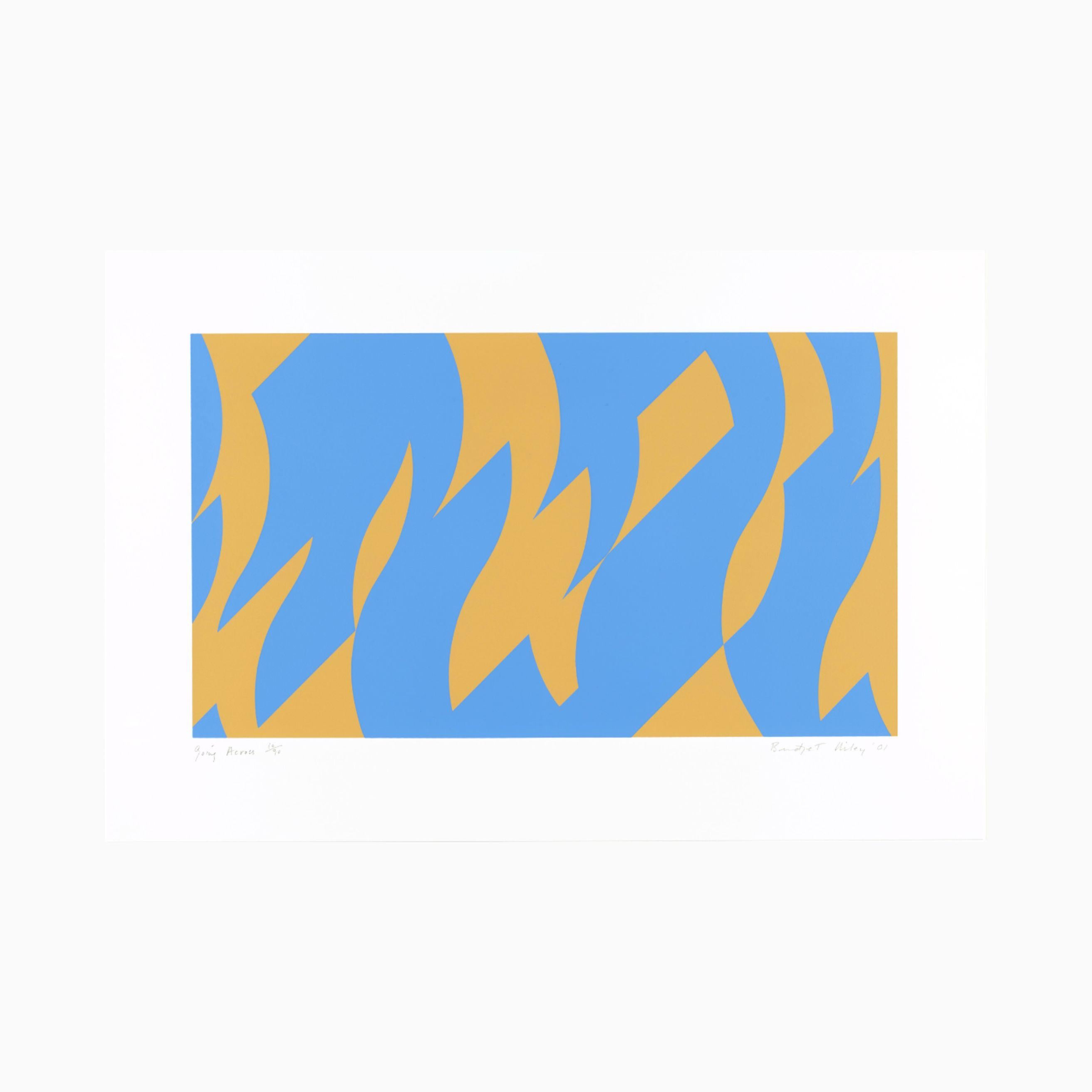 Bridget Riley - Bridget Riley: Reconnaissance (hand signed and ...