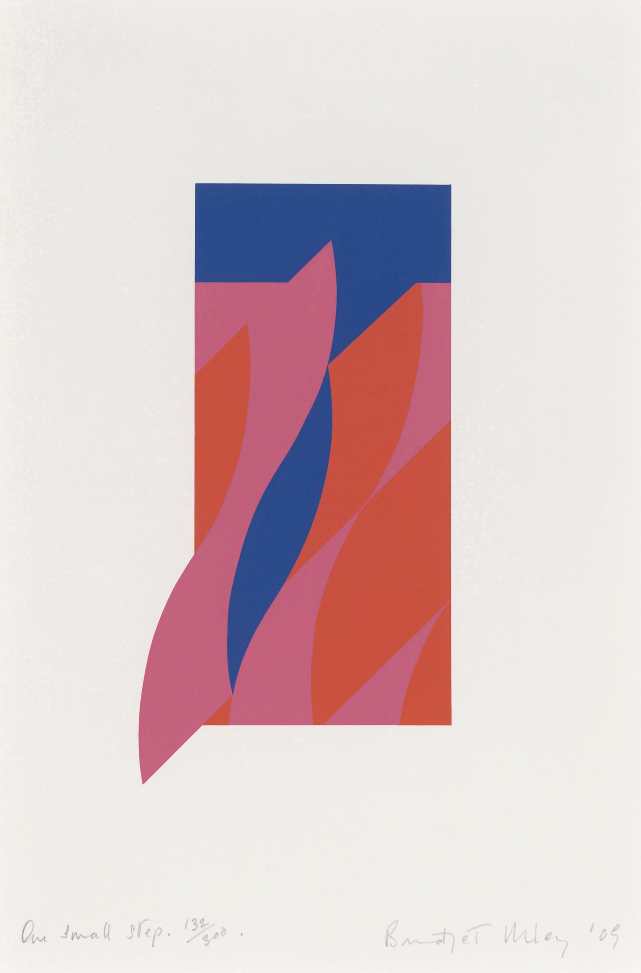 Bridget Riley - About Lilac - Screenprint, Abstract prints, Op Art ...