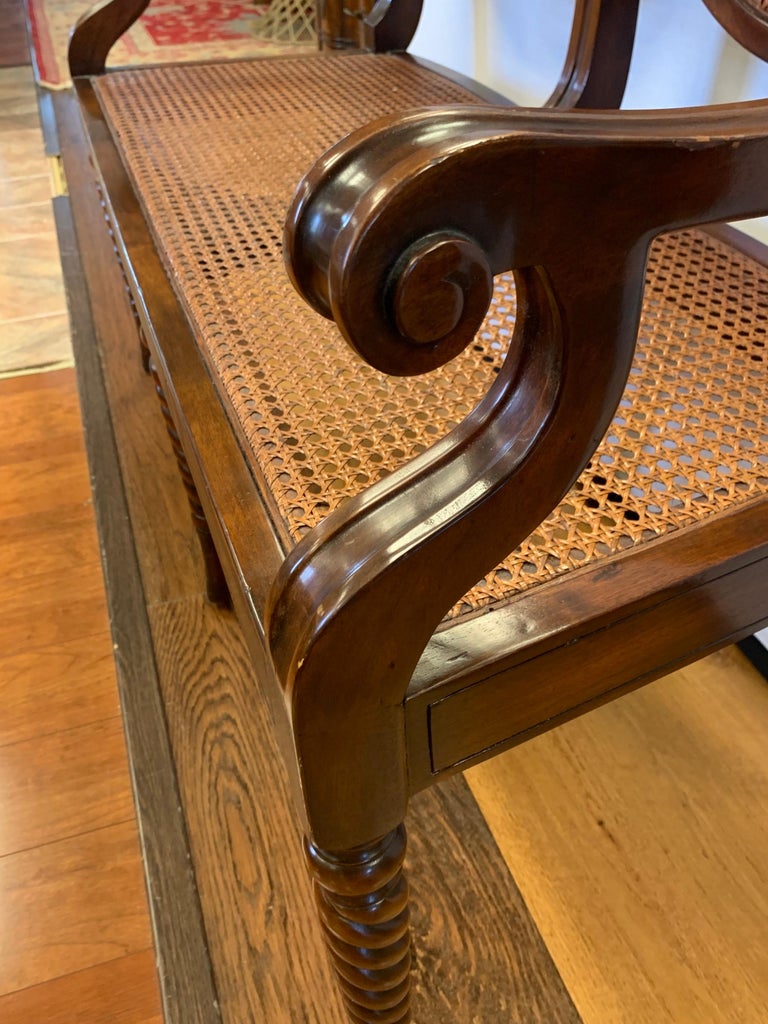 Regency Style Mahogany Cane Bench Settee with Custom Seat Cushion at ...