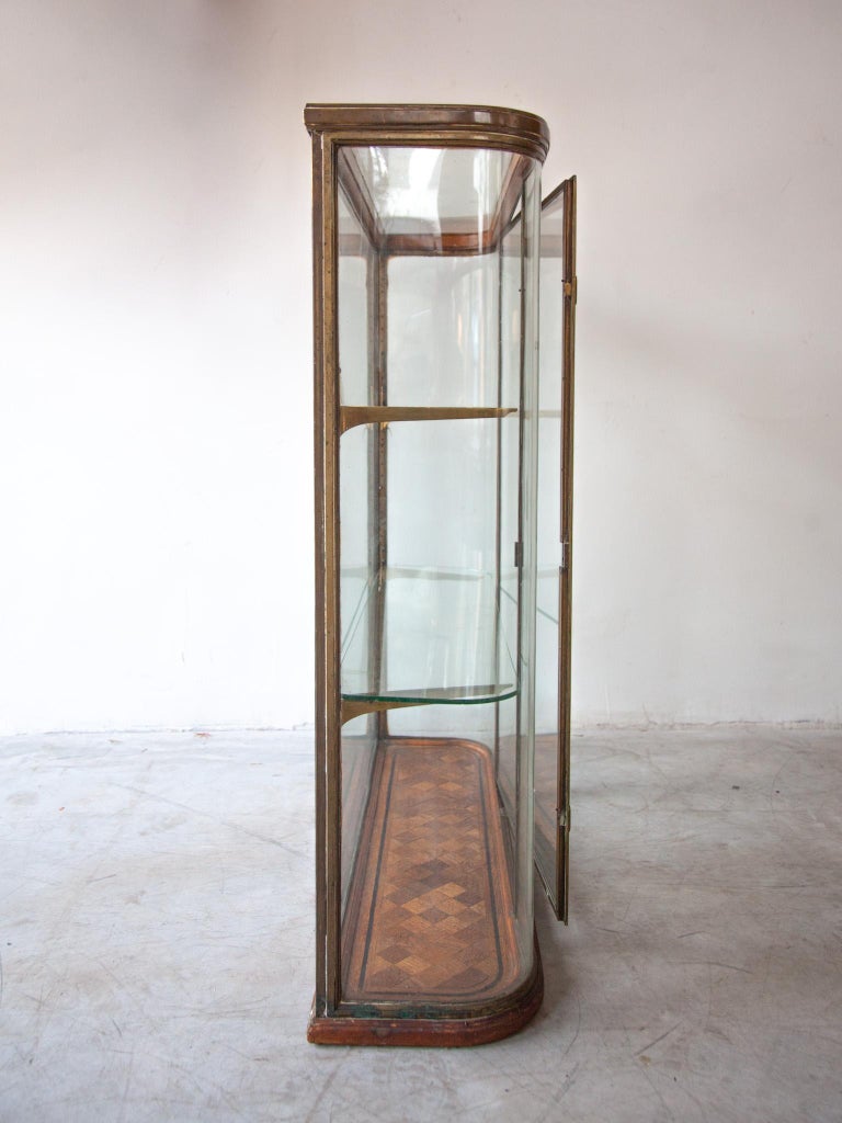 Bronze Antique Counter Display, Vitrine in Glass with Curved Panels ...
