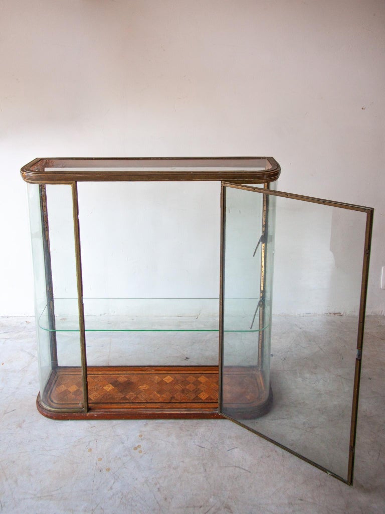 Bronze Antique Counter Display, Vitrine in Glass with Curved Panels ...
