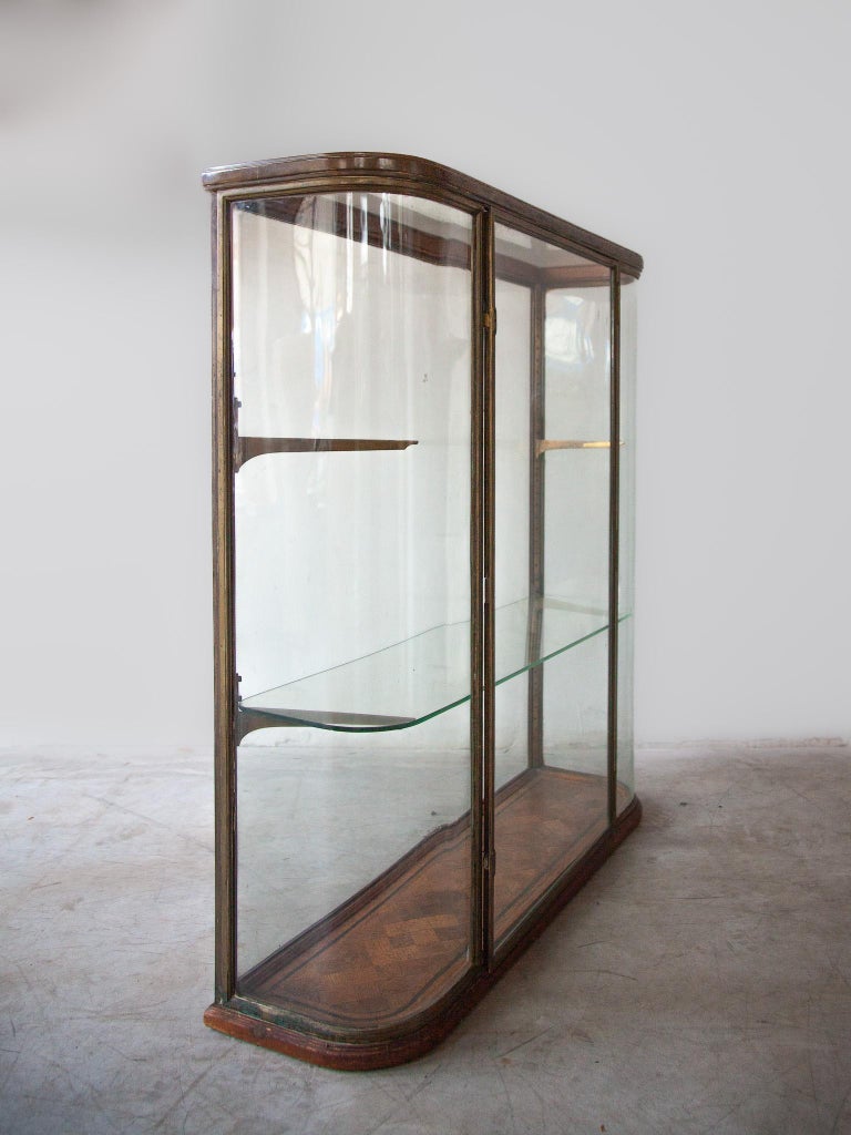 Bronze Antique Counter Display, Vitrine in Glass with Curved Panels ...