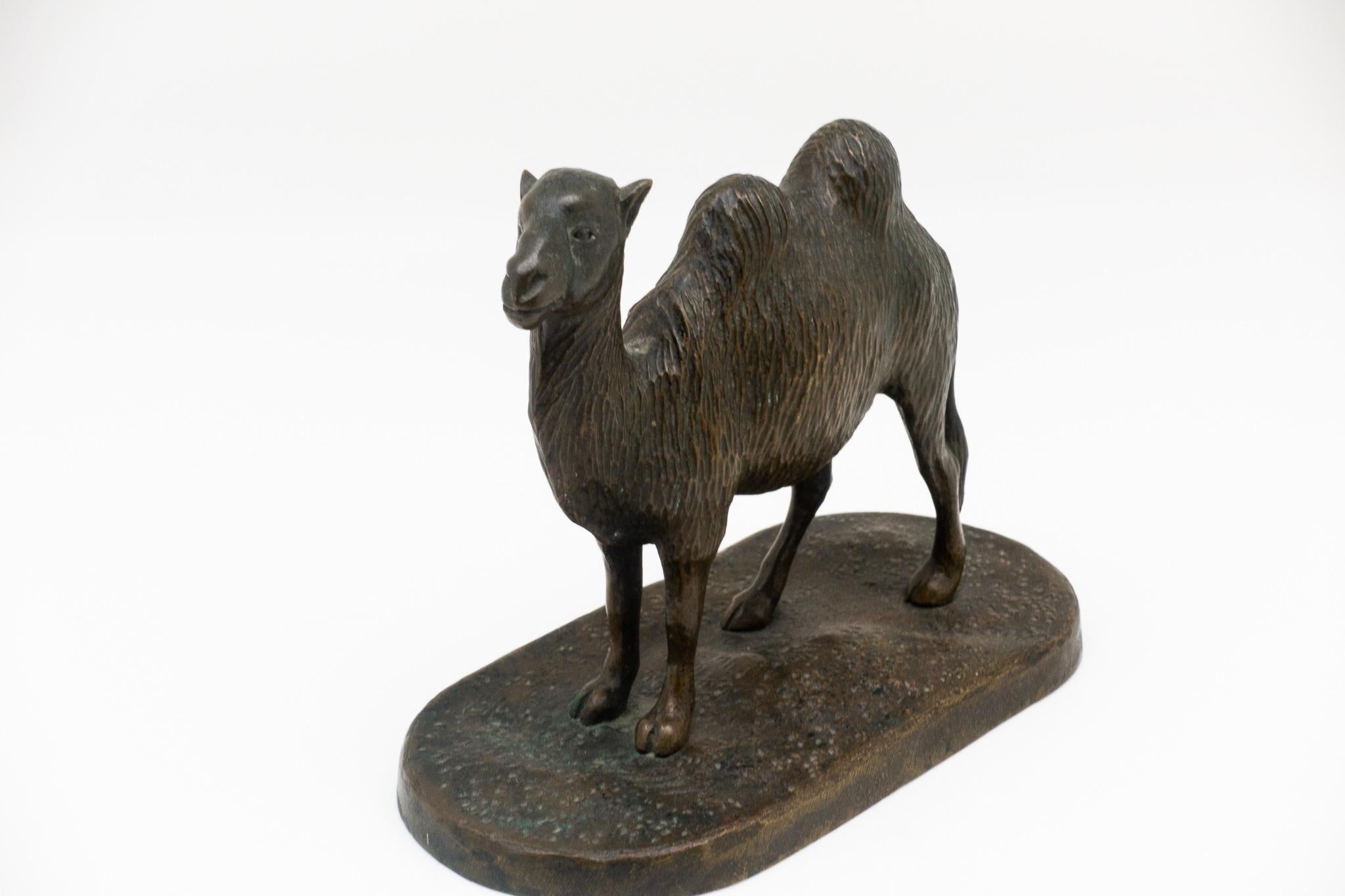 Bronze Bactrian Camel, French, 19th Century at 1stDibs