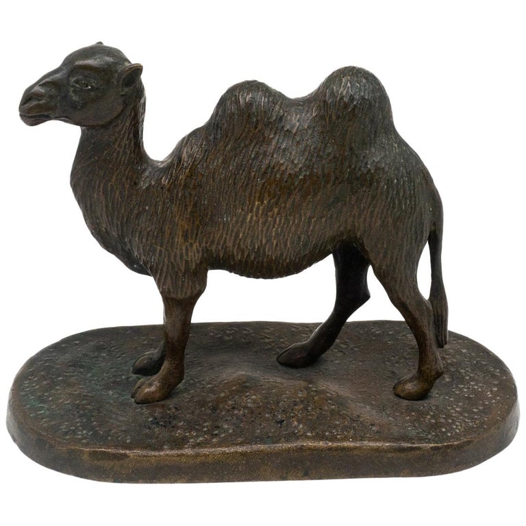 Bronze Bactrian Camel, French, 19th Century at 1stDibs