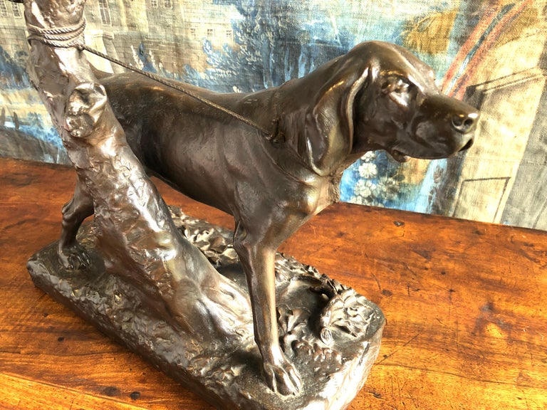 Bronze by Augustus Cain, Hunting Dog, 19th Century at 1stDibs