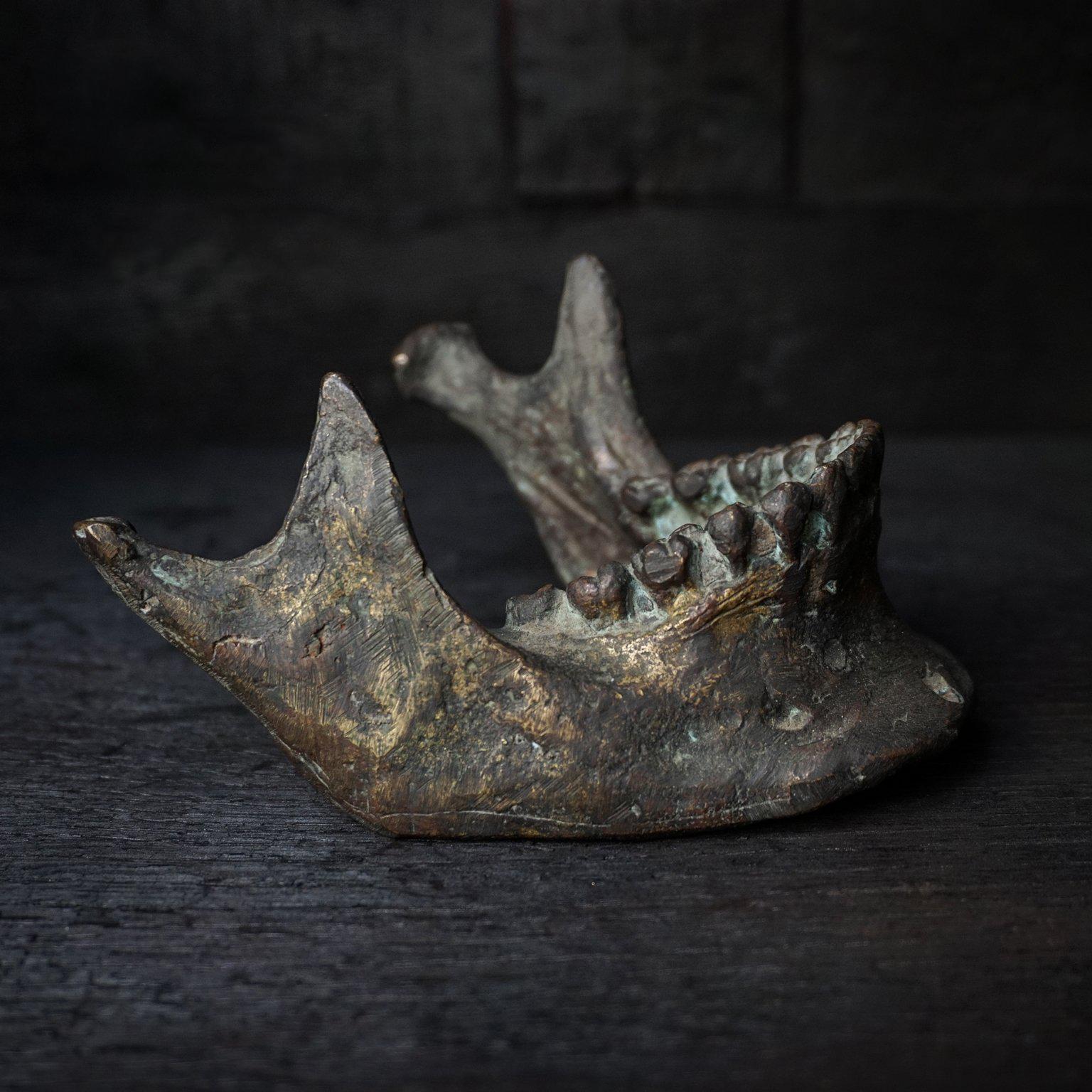 Bronze Cast of a Human Skull at 1stDibs | bronze skull, real human ...