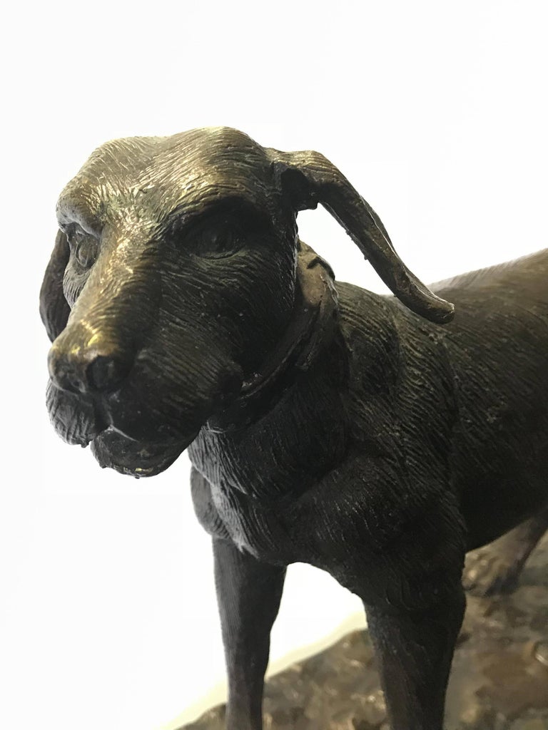 Bronze Figure of a Hound Dog For Sale at 1stDibs