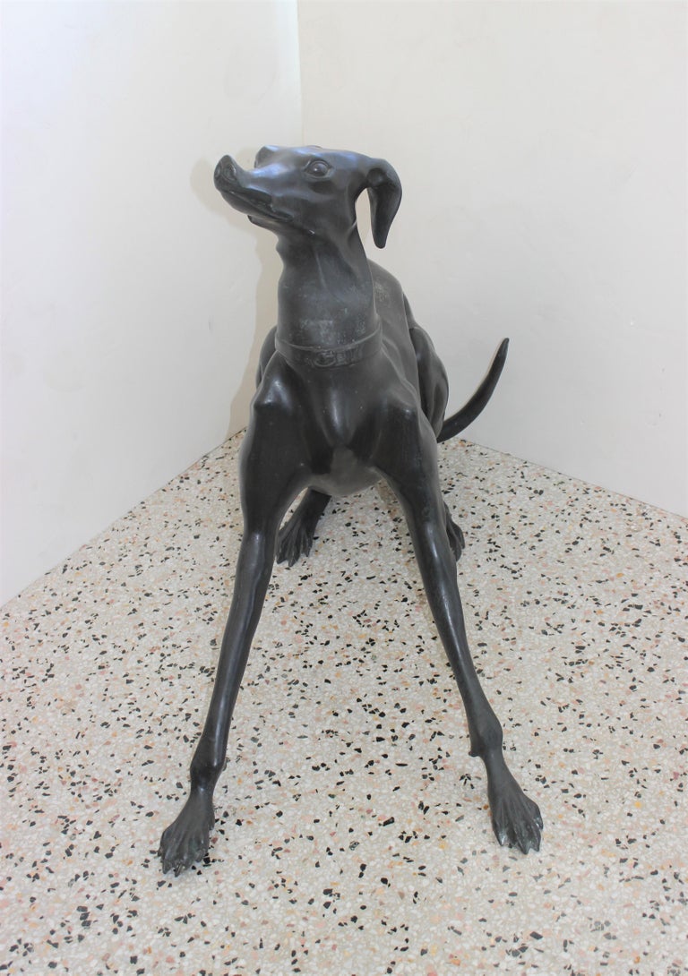 Bronze Italian Greyhound Sculpture For Sale at 1stDibs
