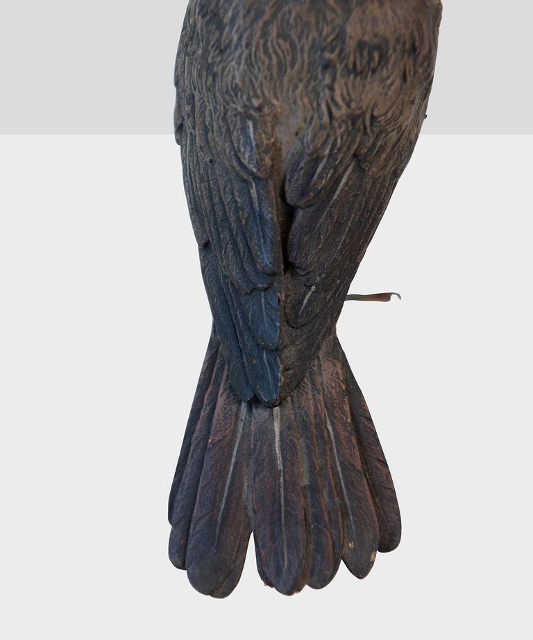 Bronze Red Tailed Wild Bird at 1stDibs