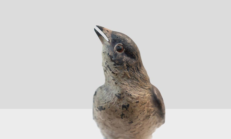 Bronze Red Tailed Wild Bird at 1stDibs