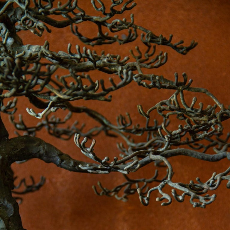 Bronze Sculpture of a Bonsai Oak Tree at 1stDibs