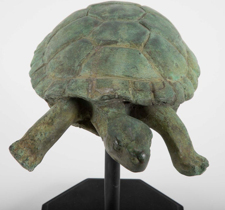 Bronze Sculpture of a Turtle at 1stDibs
