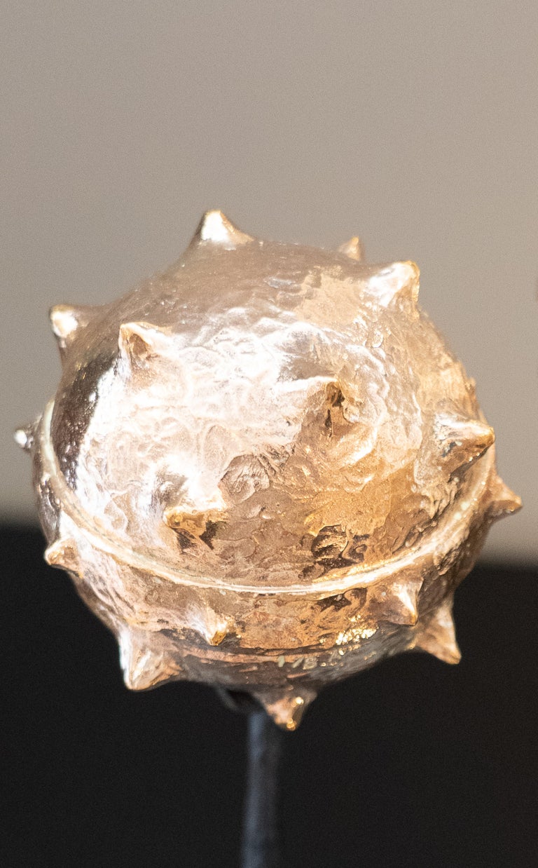 Set of Bronze Decorative Objects "ROMA" Collection (B+P) Primus Big ...