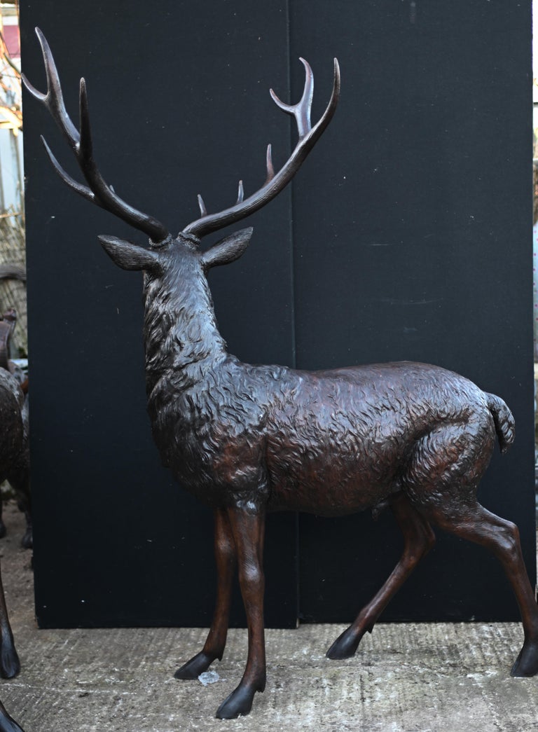 Bronze Stag and Deer Statues Pair Scottish Highland Garden Castings For ...