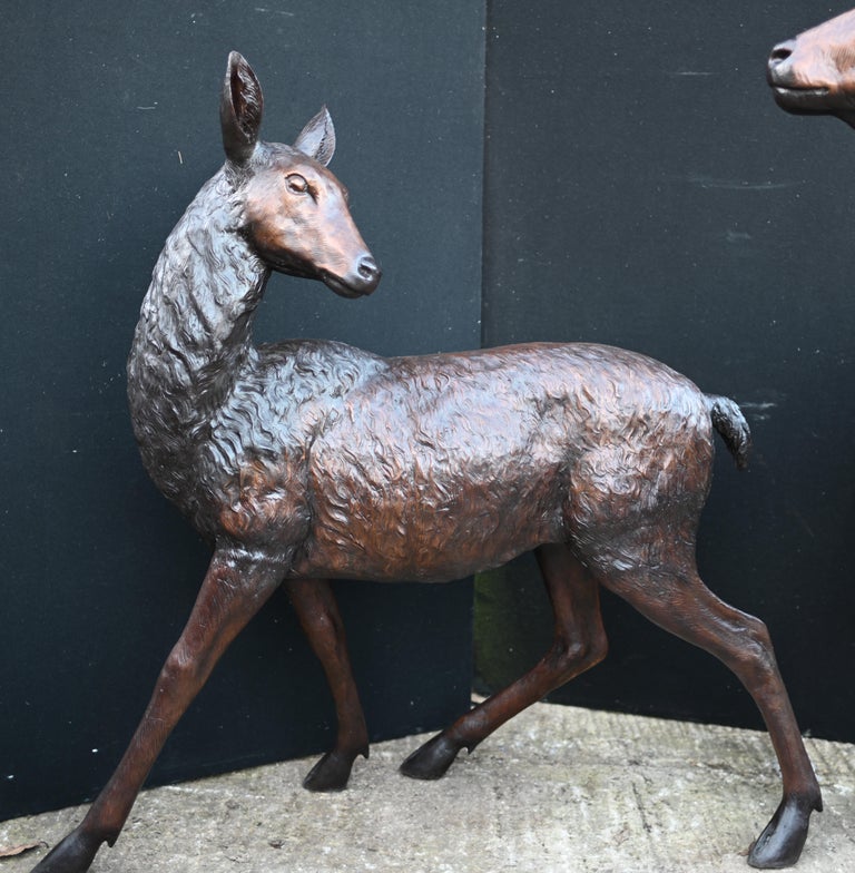 Bronze Stag and Deer Statues Pair Scottish Highland Garden Castings For ...