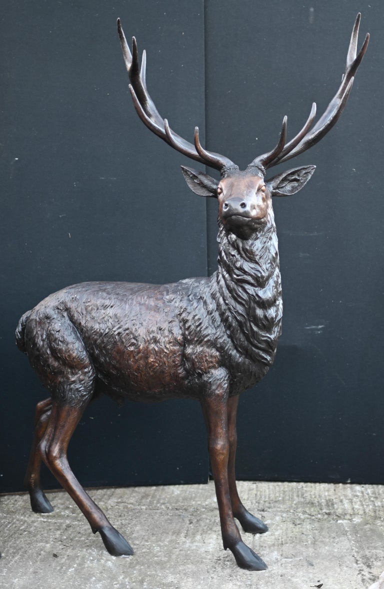 Bronze Stag and Deer Statues Pair Scottish Highland Garden Castings For ...