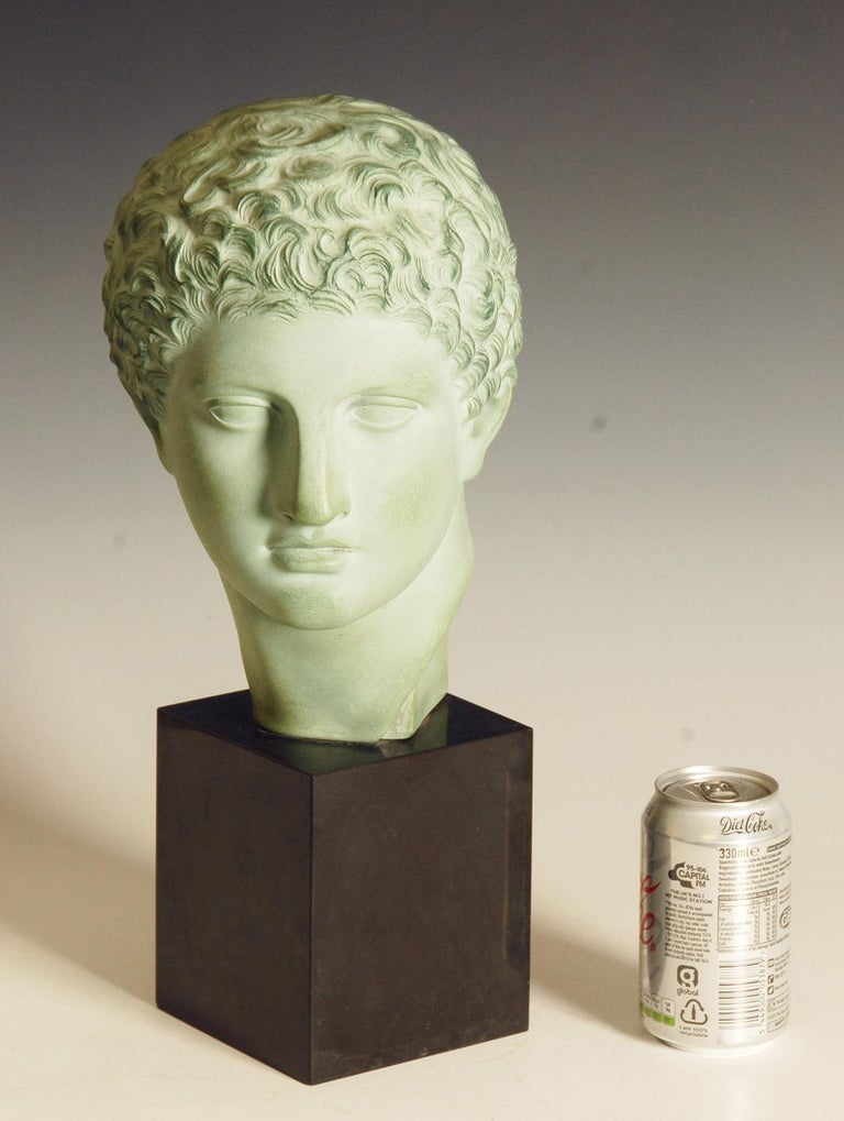 Bronzed Terracotta Bust of Roman / Greek Male on Marble Base at 1stDibs
