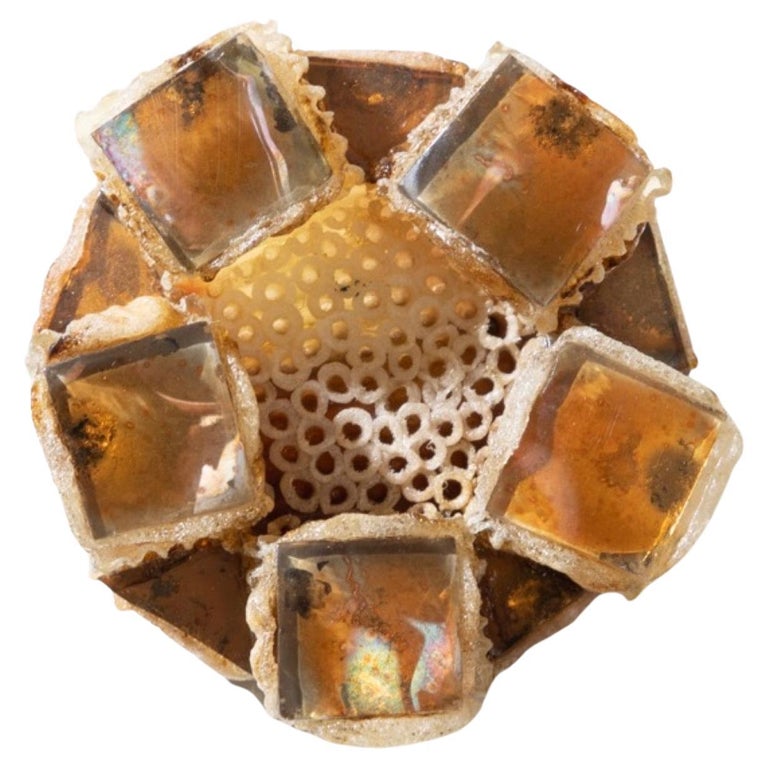 Brooch by Line Vautrin, Beige Talosel Encrusted with Amber Mirrors For ...