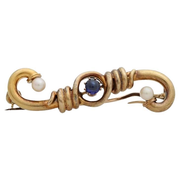 Brooch 'Insect' with Sapphire Cabochon For Sale at 1stDibs