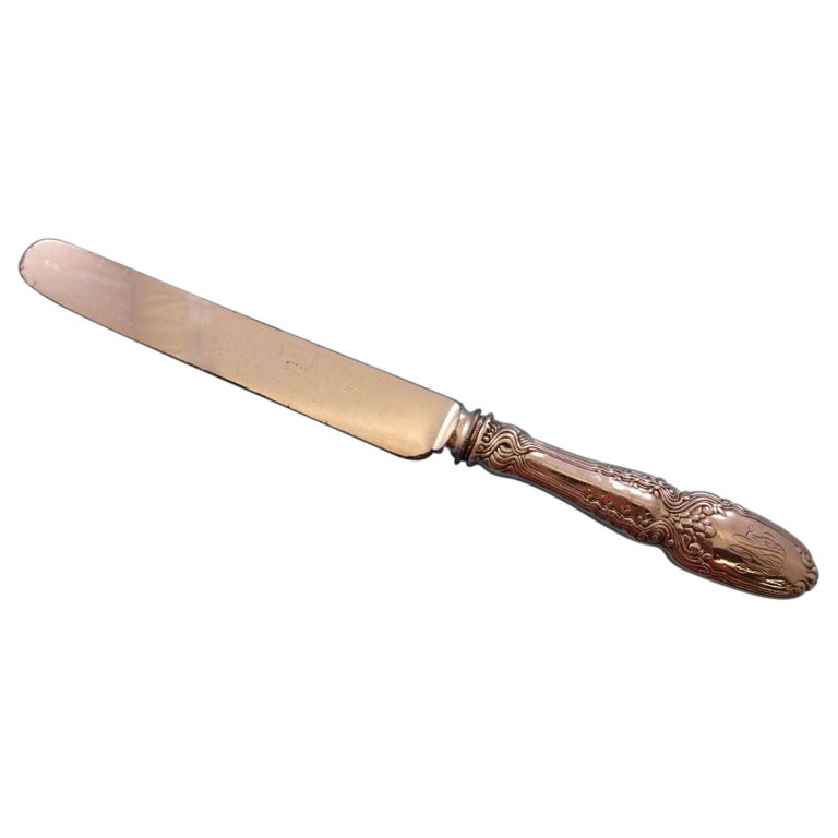Broom Corn by Tiffany and Co. Sterling Silver Dinner Knife SP Blunt ...