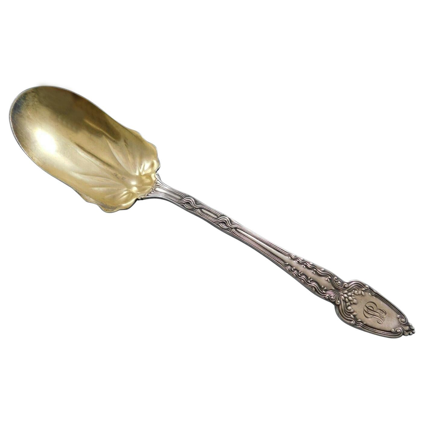 Rare Pattern Mary Chawner Princess No 2 Silver Large Serving Spoon ...