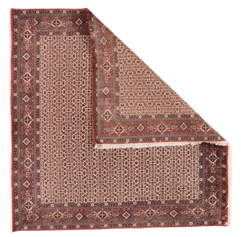 Brown Bidjar Rug For Sale at 1stDibs