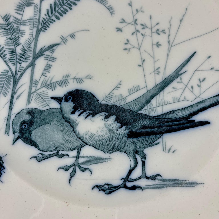 Brown, Westhead and Moore English Ironstone Canova Bird Plate, No. 7 at ...