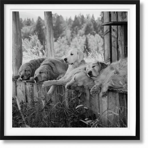 Bruce Weber - Kyle and Lane Carlson For Sale at 1stDibs | kyle and lane ...