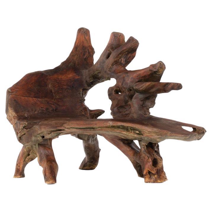 Sculptural Philippine Molave Root Bench For Sale at 1stDibs