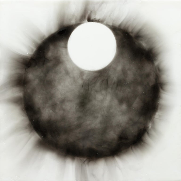 Bryan David Griffith - la transition En vente sur 1stDibs