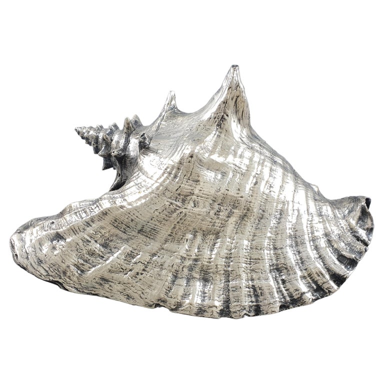 Buccellati, Large Shell Mounted in Sterling Silver For Sale at 1stDibs