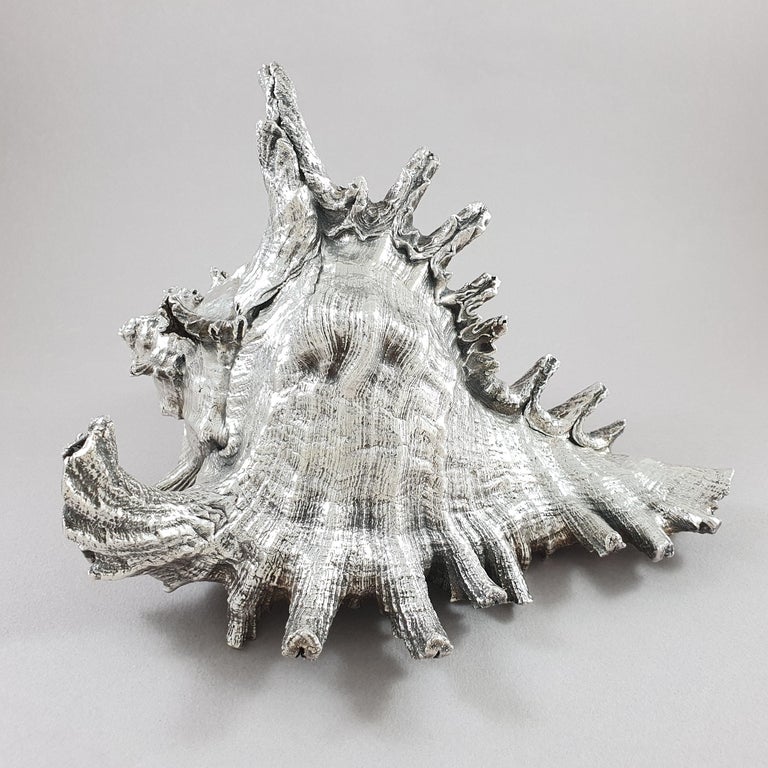 Buccellati Shell Mounted in Sterling Silver at 1stDibs
