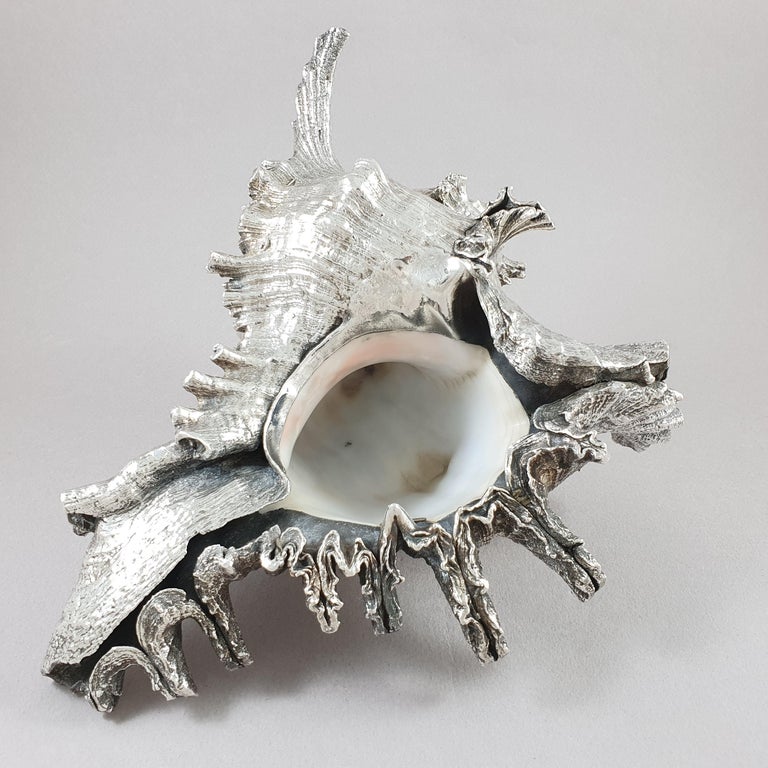 Buccellati Shell Mounted in Sterling Silver at 1stDibs