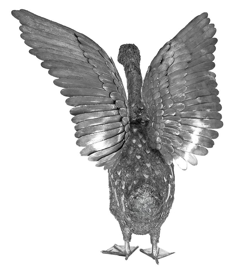 Buccellati Silver Furry Animals Swan Pair For Sale at 1stDibs | swan ...