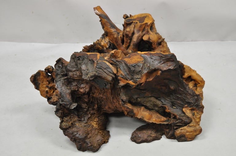 Burl Wood Organic Free Form Live Edge Driftwood Coffee Table Round ...