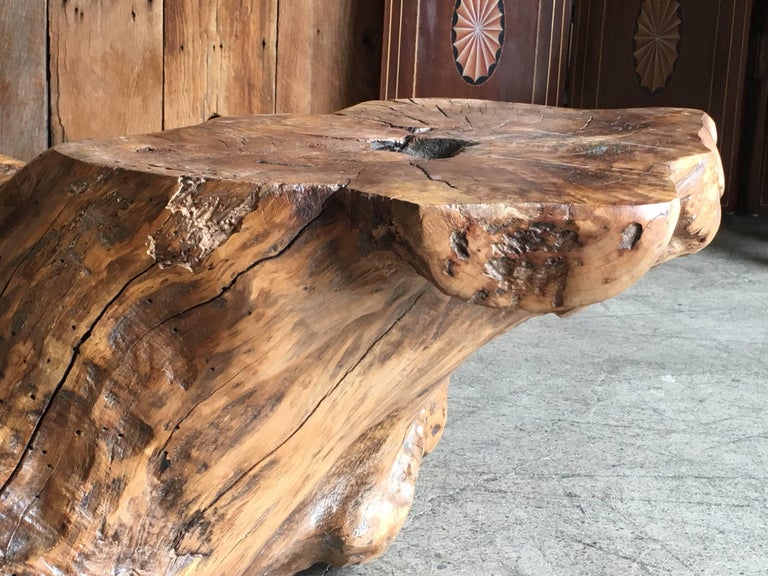 Burl Wood Tree Trunk Coffee Table at 1stDibs