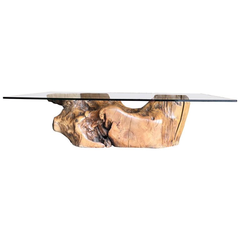 Burl Wood Tree Boot Coffee Table at 1stDibs