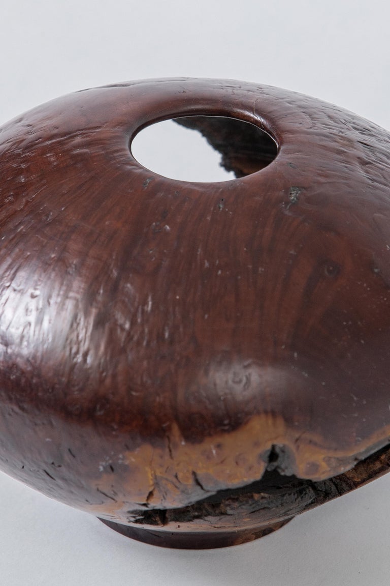 Burl Wood Vase, USA, 1997 For Sale at 1stDibs