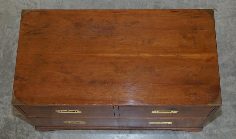 Burr Yew Wood Military Campaign Three Drawer Chest of Drawers TV Media ...