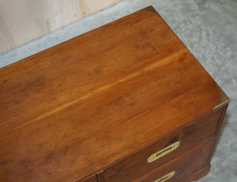 Burr Yew Wood Military Campaign Three Drawer Chest of Drawers TV Media ...