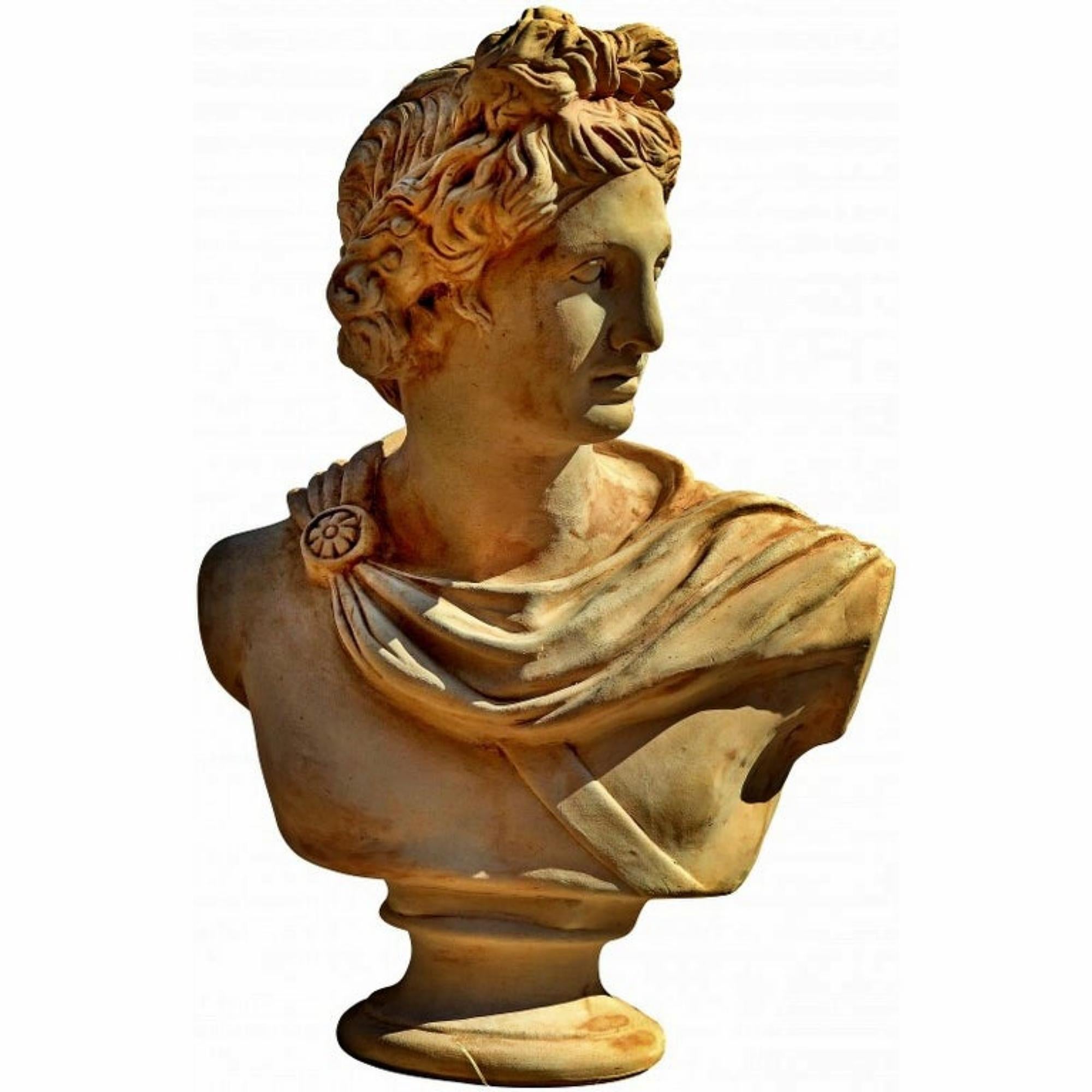 Bust of Apollo in Terracotta "Apollo Del Belvedere" Apollo Pitico ...