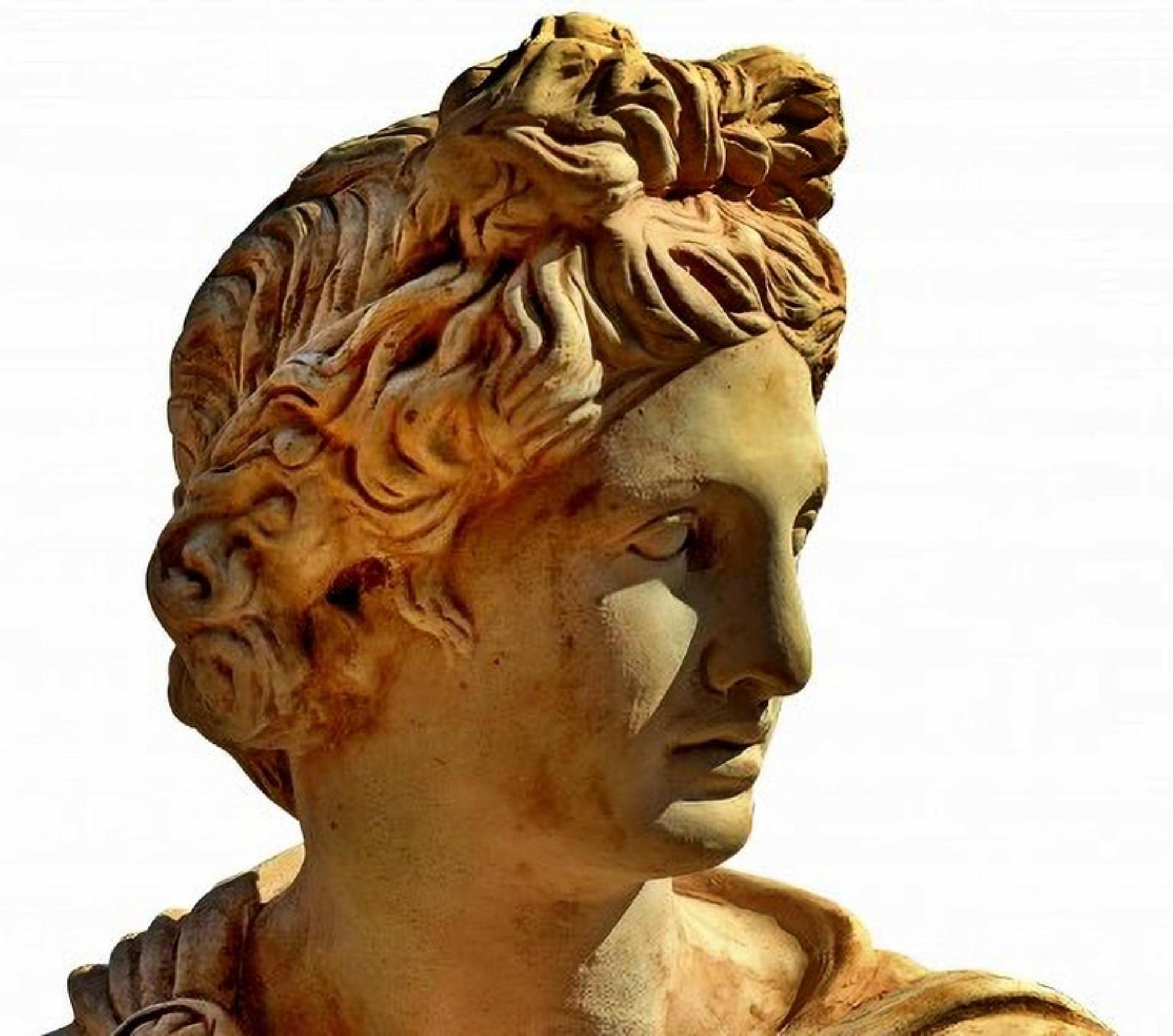 Bust of Apollo in Terracotta "Apollo Del Belvedere" Apollo Pitico ...