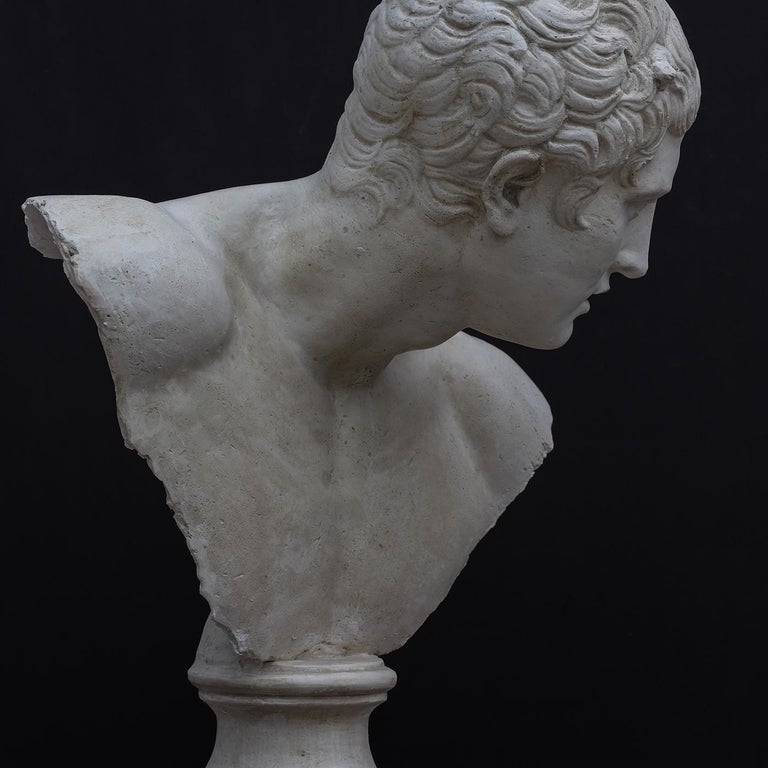 Bust of Discobolus Sculpture at 1stDibs | discobolus face