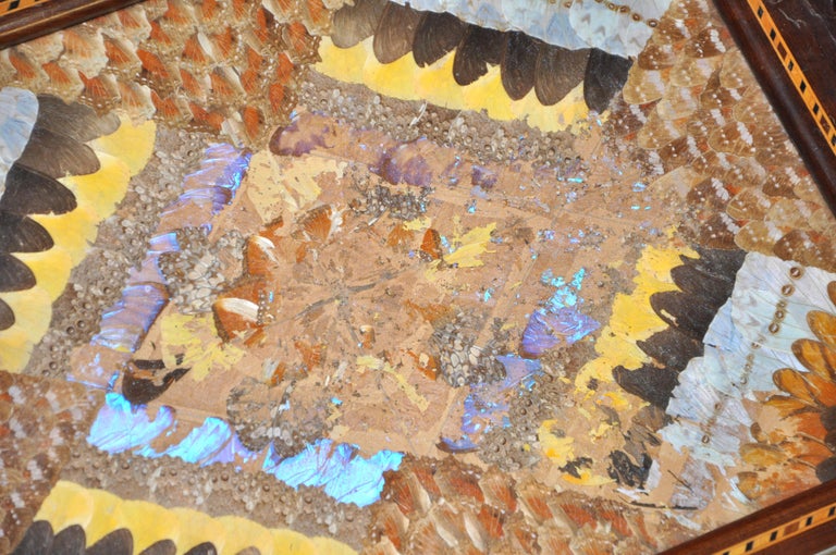 Butterfly Wing and Inlaid Wood Tray For Sale at 1stDibs