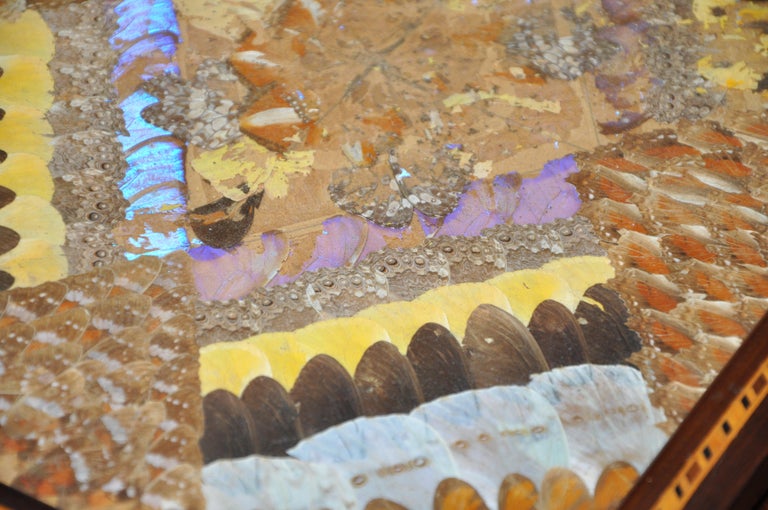 Butterfly Wing and Inlaid Wood Tray For Sale at 1stDibs