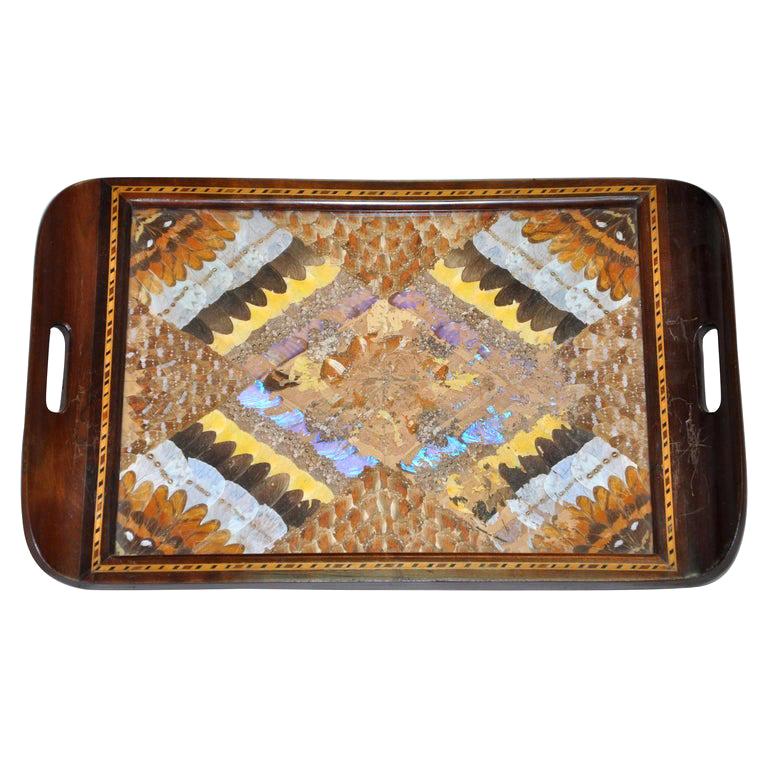 Butterfly Wing and Inlaid Wood Tray at 1stDibs