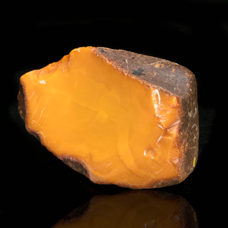 Butterscotch Amber // 34-55 Myo 'Eocene' // 385 Grams For Sale at 1stDibs