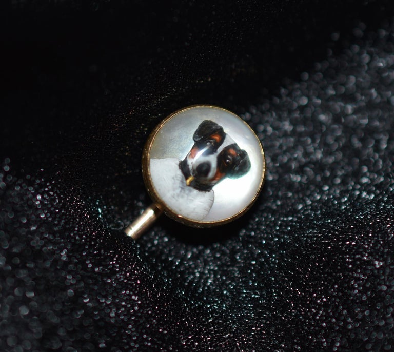 18 Karat Essex Rock Crystal Jack Russell Dog Stick Pin, circa 1880 For ...