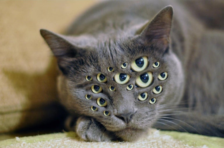 Cabaret Panda Battery 20220725T03:41:47 For Sale at 1stDibs