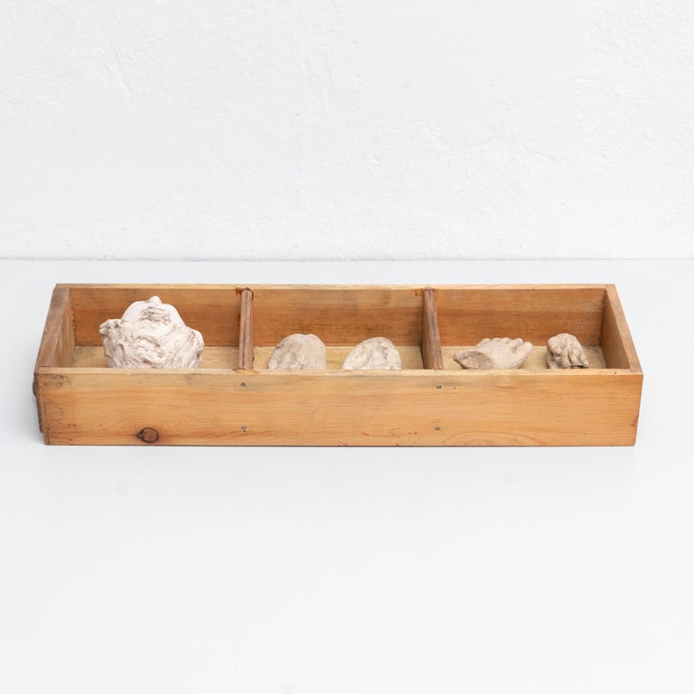 Cabinet of Curiosities Drawer Sculptural Artwork, circa 1950 For Sale ...